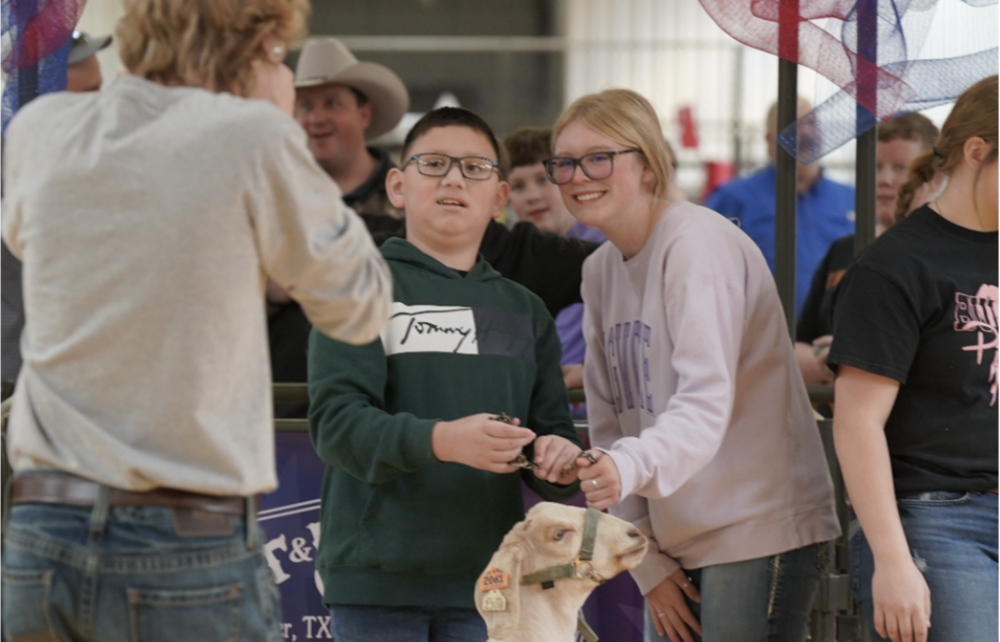 Scurry Stars Shine at the Stock Show | Snyder Junior High School