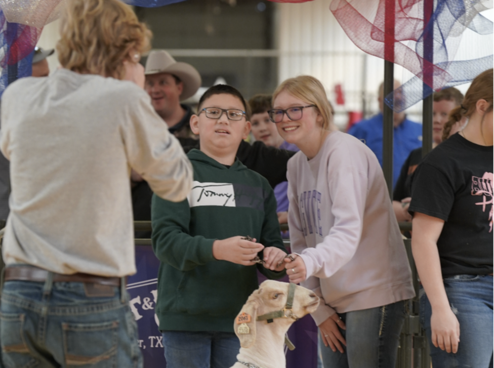 Scurry Stars Shine at the Stock Show | Snyder ISD